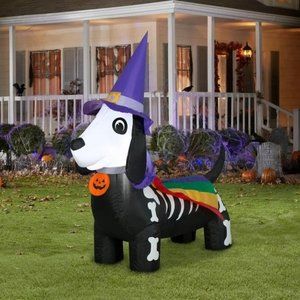 No brand / Not sure | Holiday | Rainbow Witch Dog Halloween Airblown ...